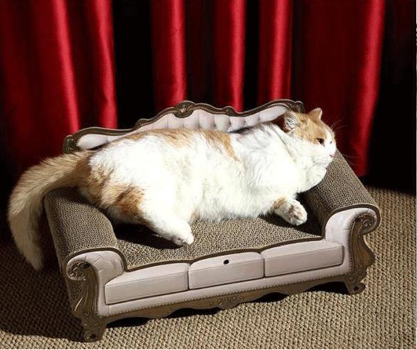 Quality Can Catch Can Lie Sofa Shape Cat Scratch Board High-Density Corrugated Paper for sale