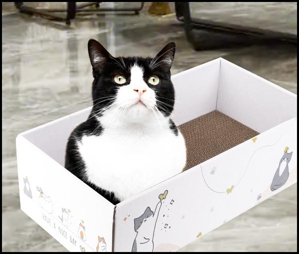 Quality 4 Pack Cat Scratch Pad with Box, Cardboard Cat Scratcher for Indoor Cats for sale