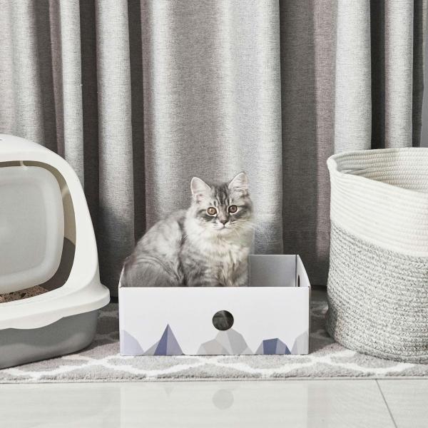Quality Cat Scratcher Box with Heavy-Duty Double-Sided Cardboard Pad, Cardboard Lounger, for sale