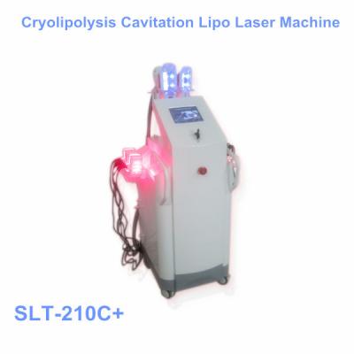 China Cryolipolysis Fat Freezing Equipment / Lipo Laser Slimming Machine for sale