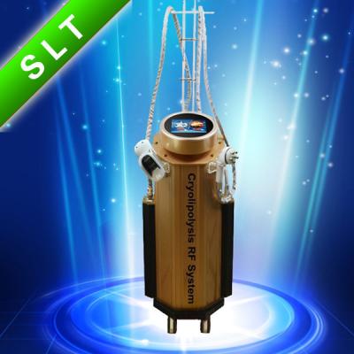China Vertical Cryolipolysis Slimming Machine For Belly Fat Removal , Abdomen Fat for sale