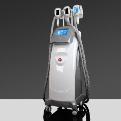 China Three Handles Cryolipolysis Fat Freezing Equipment For Body Slimming / Weight Loss for sale