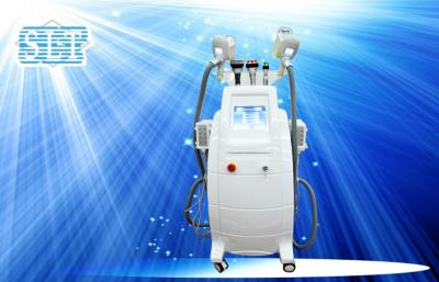 China Coolsculpting Cryolipolysis Slimming Machine , Cavitation RF Laser Fat Reduction Equipment for sale