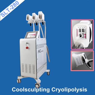 China Three Hand Pieces Cryolipolysis Slimming Machine , Zeltiq Coolsculpting Equipment for sale