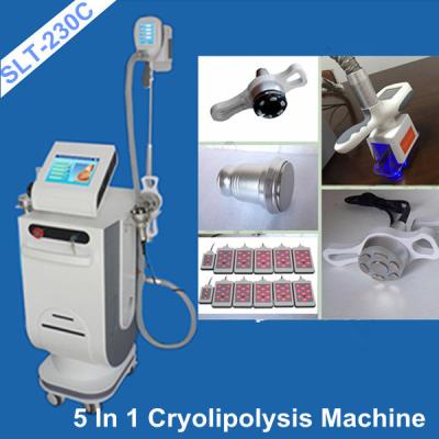 China Cryolipolysis Cavitation Lipo Laser Body Sculpting Machine , Vacuum Slimming Equipment for sale