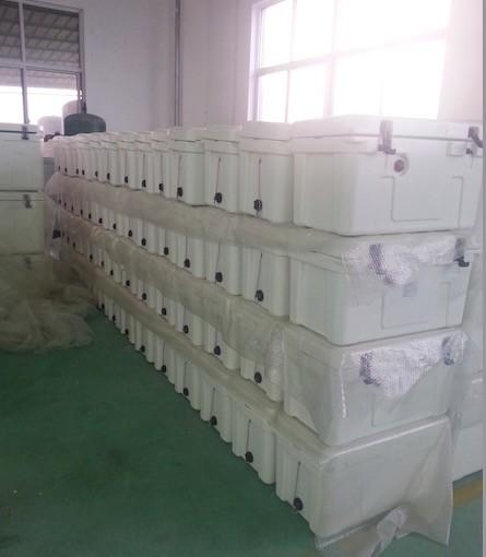 Custom LLDPE Tool Box Mould Rotational Food Insulation Box