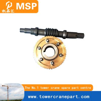 China Passenger Hoist Worm Wheel And Worm Shaft For Passenger Elevator Support for sale