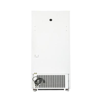 China Large Cryogenic Low Temperature Lab Freezer Cabinet For Medical Hospital 340L for sale