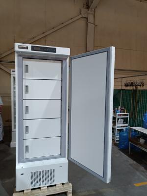 -40°C Biomedicale Verticale Congelatore profondo MDF-40V328E 328L Congelatore di laboratorio per uso medico e di ricerca