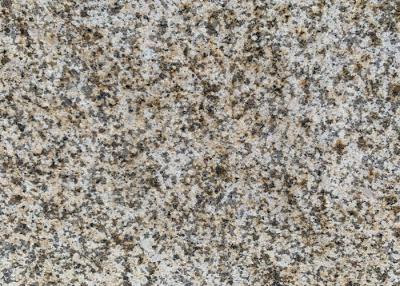 China 20mm G682 Desert Gold Granite Countertop Slab for sale