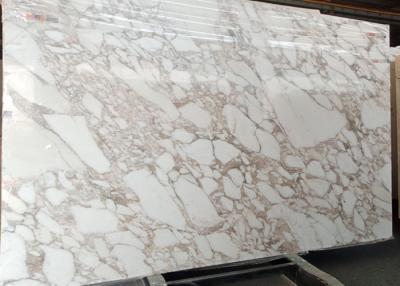 China Italy 2400x1400mm 1.8cm Calcutta Gold Marble Slab Tile for sale