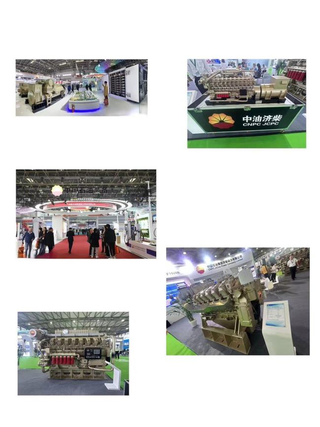 Chidong G12V190pzl-3/0 Diesel Engine Water Pump Impeller 12vb. 22.03b