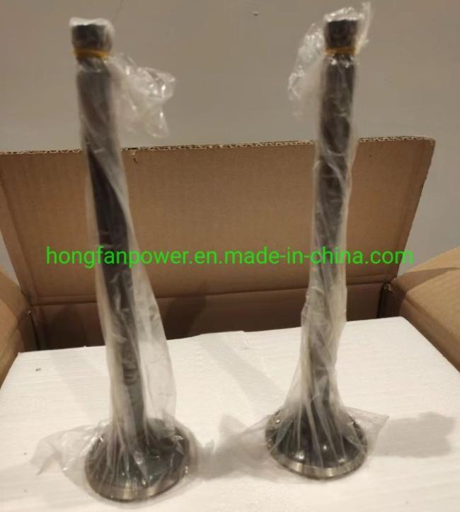 Shengli Oilfield Power Machinery Shengdong 12V190 Gas Engine Exhaust Valve 12vb. 03.22 190 Accessories Jinan Diesel Engine