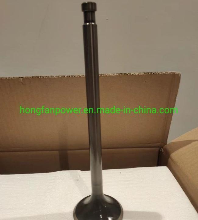 Shengli Oilfield Power Machinery Shengdong 12V190 Gas Engine Exhaust Valve 12vb. 03.22 190 Accessories Jinan Diesel Engine