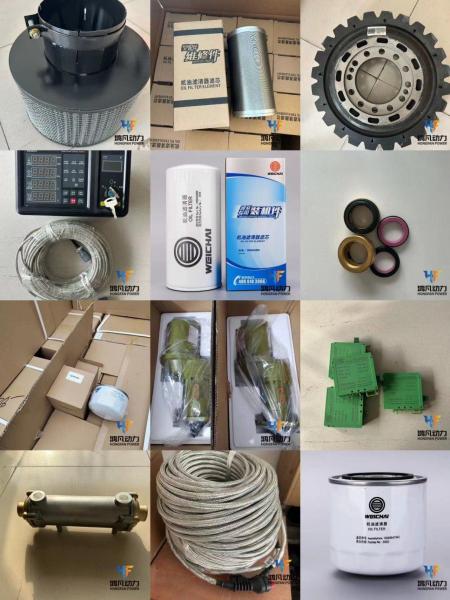 Quality Weihai 8200 Diesel Engine High-Pressure Fuel Pump 1004650171 for sale