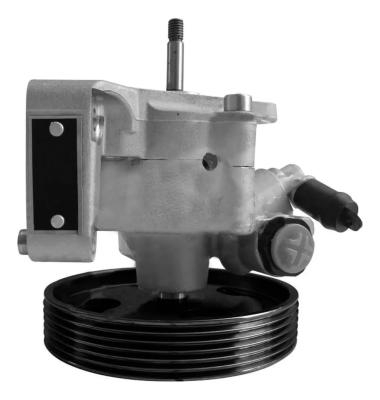 China OEM 552293350 Hydraulic Power Steering Pump for FIAT PALIO SIENA GRAND SIENA IDEA for sale