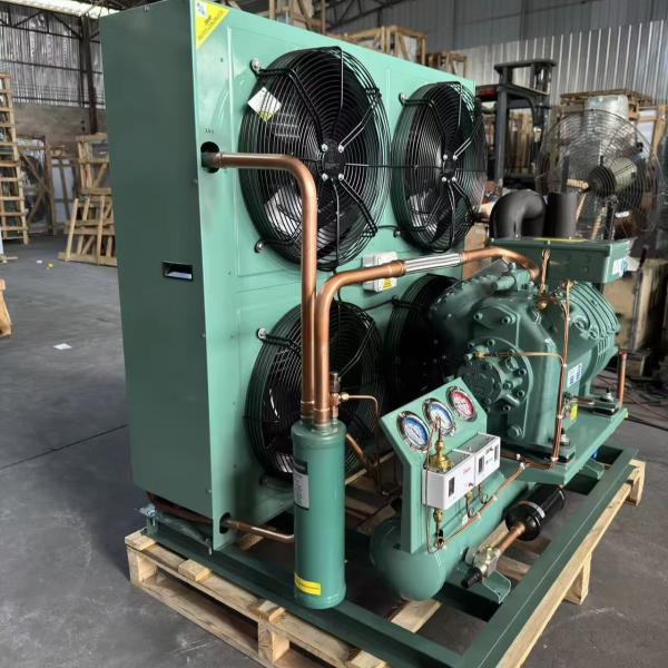 Quality Essential Outdoor Refrigerator 12HP Cold Piston Compressor Air-Cooled Condensing Units Motor R404a Refrigerant 1 Year Warranty for sale