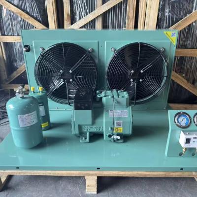 China Essential Outdoor Energy-Saving Refrigerator Components Motor 5HP Cold Piston Compressor Air-Cooled Condensing Units (R404a) for sale