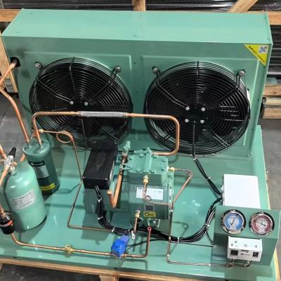 China High Quality Motor Condenser Refrigerator Outdoor-Style Air Cooled Condensing Unit for Cold Room for sale