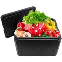 China Thermal Insulation EPP Box Food Distribution Thermohauser Box for sale