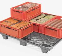 China Hygienic EPP Logistic Shipping Plastic Pallets High Tenacity for sale