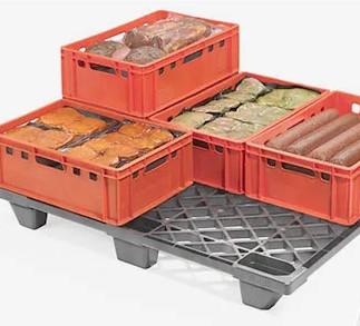 China Hygienic EPP Logistic Shipping Plastic Pallets High Tenacity for sale