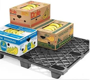 China Hygienic EPP Logistic Shipping Plastic Pallets High Tenacity for sale