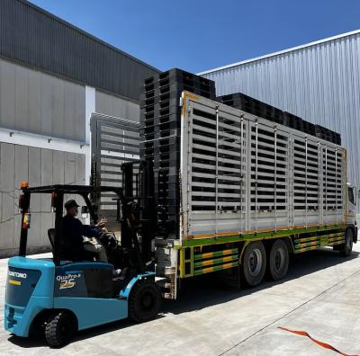 China Hygienic EPP Logistic Shipping Plastic Pallets High Tenacity for sale