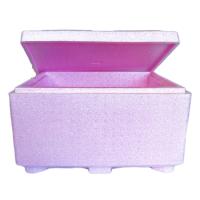 China Lightweight Non-Toxic Anti Mold Waterproof Logistic EPP Insulation Box for sale