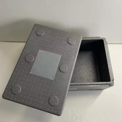China Customized EPP Foam Packaging Box Highly Shock Absorbent for sale