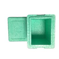 China Hanwell Shock Absorbent Insulated EPP Foam Box Lightweight for sale