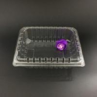 China 24*18*8cm Clear Disposable Fruit Packaging Plastic Boxes With Lids for sale
