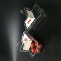 China Corrosion Resistance Plastic Packaging Boxes Punnet Pack Box for sale