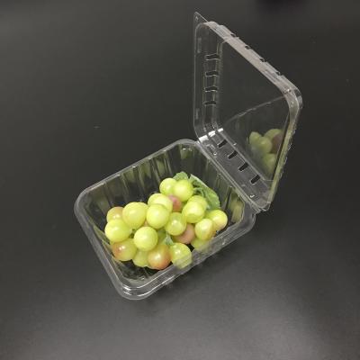 Cina Scatola del pacchetto del cestello delle scatole di imballaggio di plastica di resistenza della corrosione in vendita