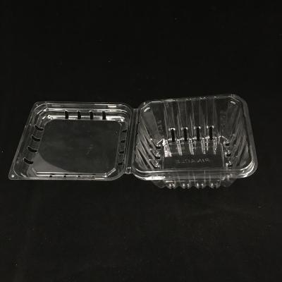 Cina Scatola del pacchetto del cestello delle scatole di imballaggio di plastica di resistenza della corrosione in vendita