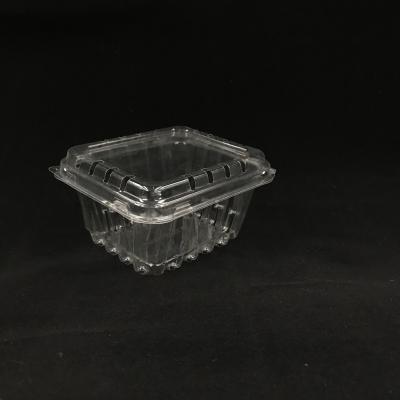 Cina Scatola del pacchetto del cestello delle scatole di imballaggio di plastica di resistenza della corrosione in vendita
