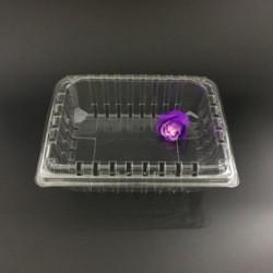 Cina Scatola del pacchetto del cestello delle scatole di imballaggio di plastica di resistenza della corrosione in vendita