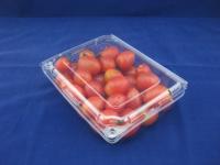 China Eco Friendly Disposable Clear Plastic Blister Plastic Packaging Boxes 500g for sale