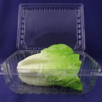 Cina Commestibile delle scatole di imballaggio di plastica del pacchetto della copertura superiore di OEM/ODM in vendita