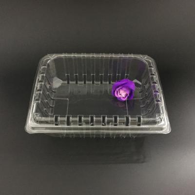 Cina Commestibile delle scatole di imballaggio di plastica del pacchetto della copertura superiore di OEM/ODM in vendita