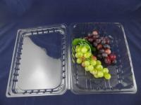 China Strawberry Plastic Packaging Boxes PET Clamshell Containers for sale