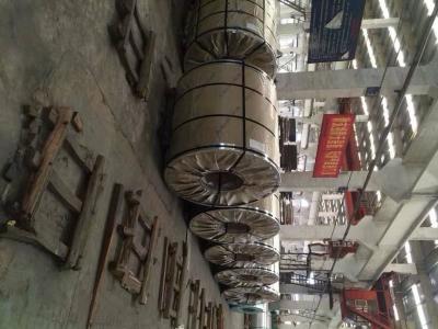 China UNS S32168 Hot Rolled Stainless Steel Plate Thickness 3.0-12.0mm Stock in Coils for sale