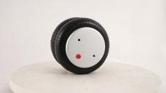 Air Spring Shock Absorber FD 200-19 Replacement