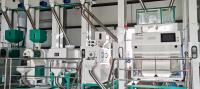 China Dreamplus Rice Color Sorter High Accuracy 99.99% Sorting Machine for sale