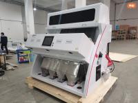 China 256 Channel Cashew Nuts Sorting Machine 2 - 4t/H for sale