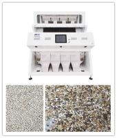 China White Beans Optical Sorting Machine  4 Chutes 256 Channels for sale