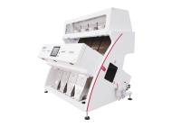 China White Beans Optical Sorting Machine  4 Chutes 256 Channels for sale