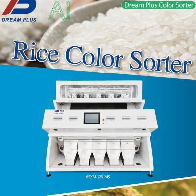 Cina CCD RGB Camera Rice Color Sorting Optical Grain Seed Color Sorting Coffee Color Sorting Machine in vendita