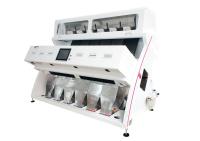 China 384 Channel Plastic Colour Sorting Machine CE / SGS / ISO9001 for sale