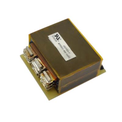 China IEC60076 Standard ER50 Planar Transformer 120v to 220v Neon High Voltage Power Transformers with TOROIDAL Coil Structure for sale